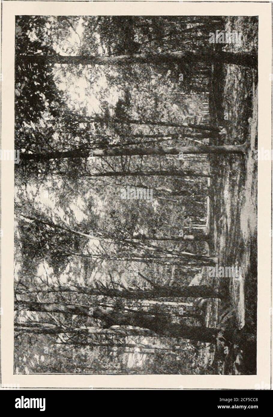 George ripley hi-res stock photography and images - Alamy