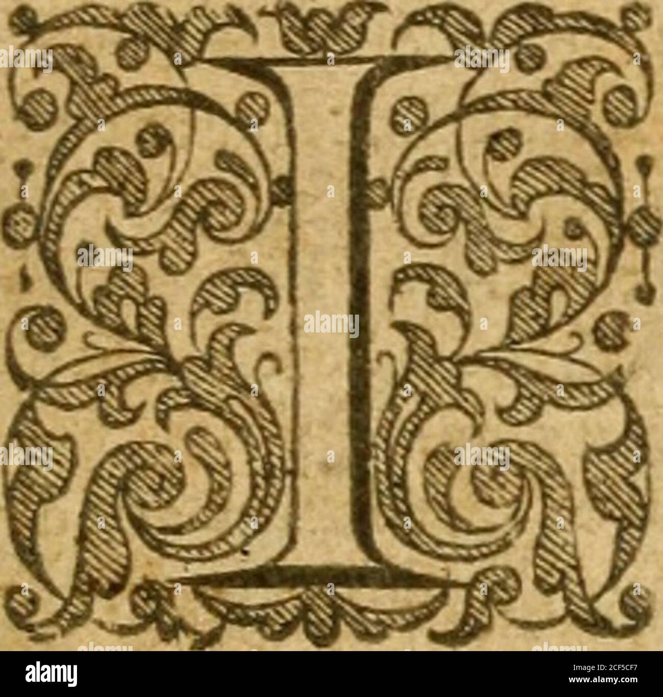 Votti hi-res stock photography and images - Alamy