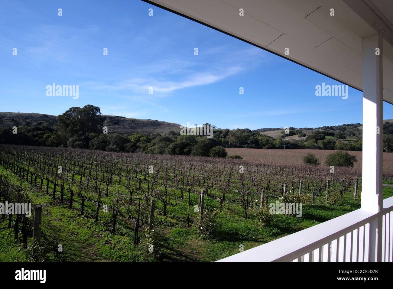 Vines on terrace hi-res stock photography and images - Alamy