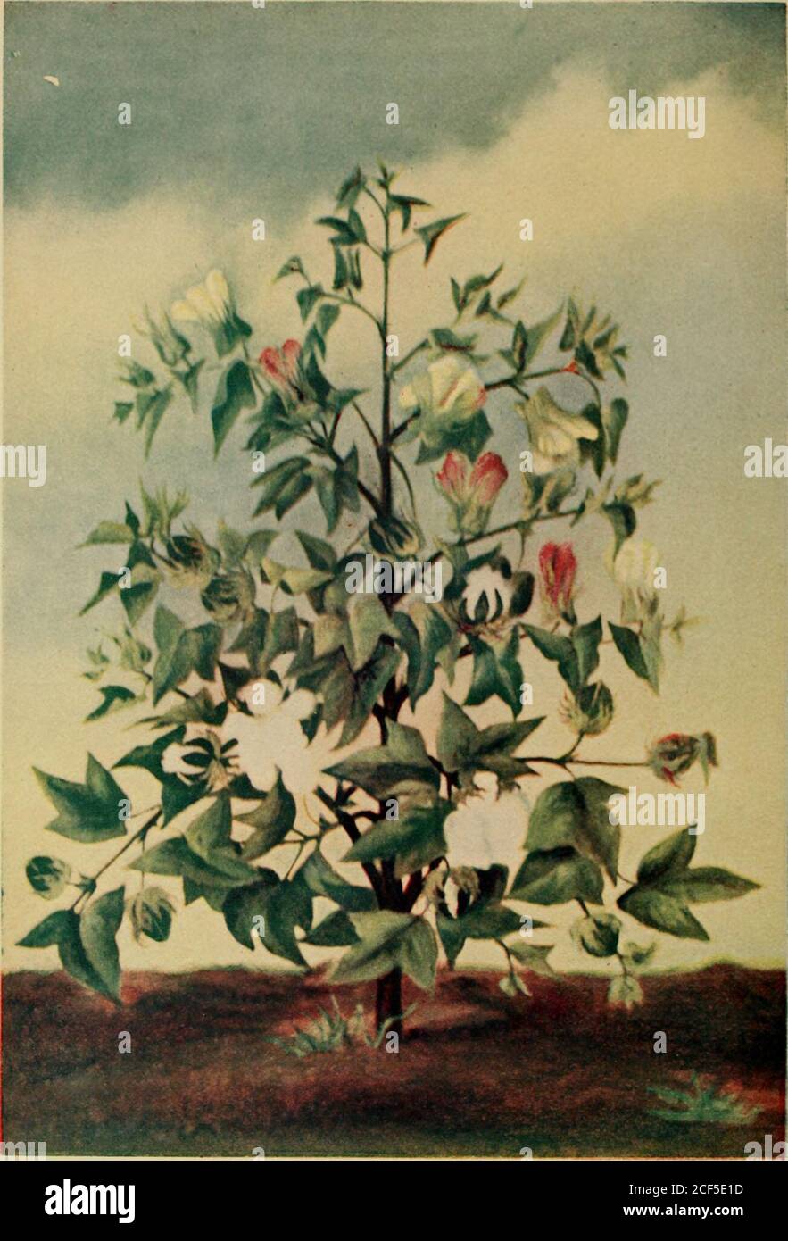 John emberson hi-res stock photography and images - Alamy