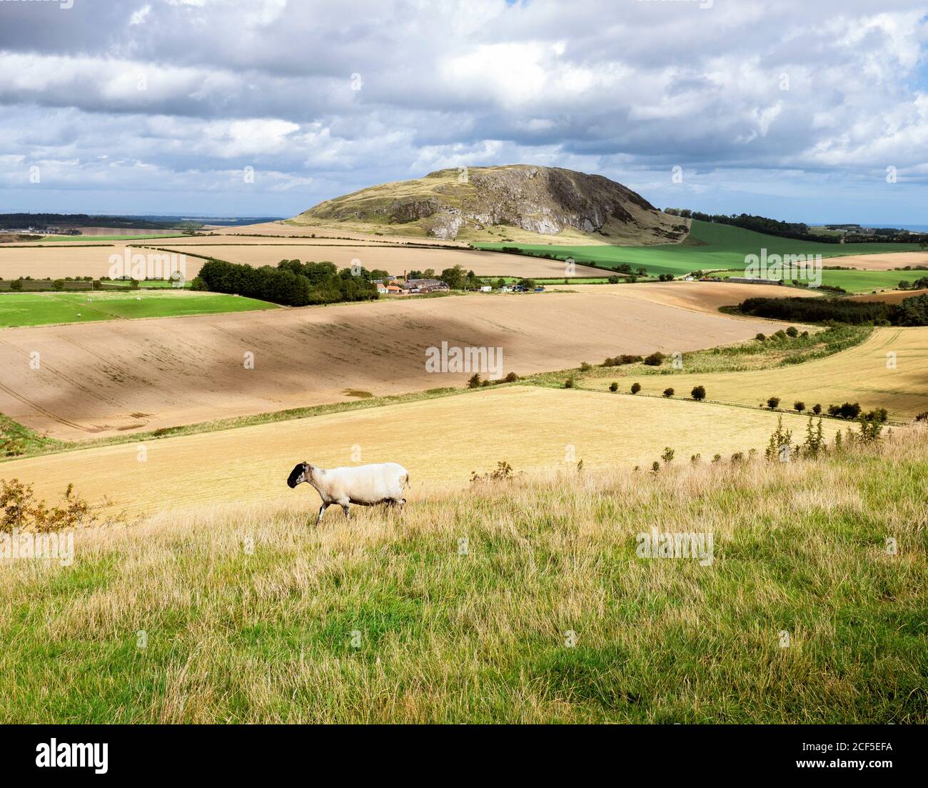 Traprain Law High Resolution Stock Photography and Images - Alamy