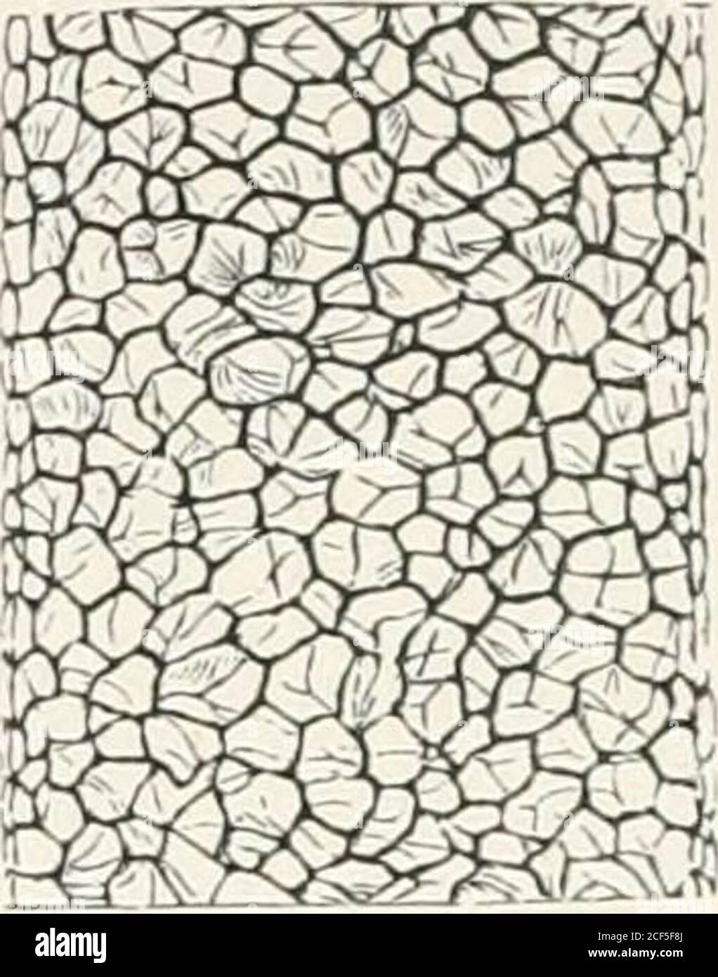 Transmitted light microscope hi-res stock photography and images - Alamy