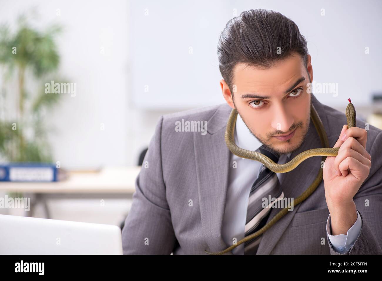 Man handling snake hi-res stock photography and images - Alamy