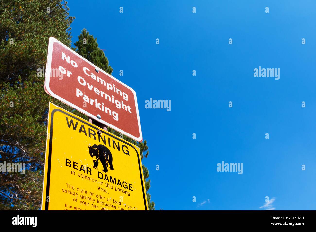 Warning bear damage sign informs tourists about possible car damage on ...