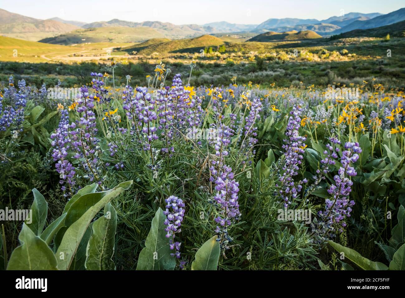 Methow valley hi-res stock photography and images - Alamy