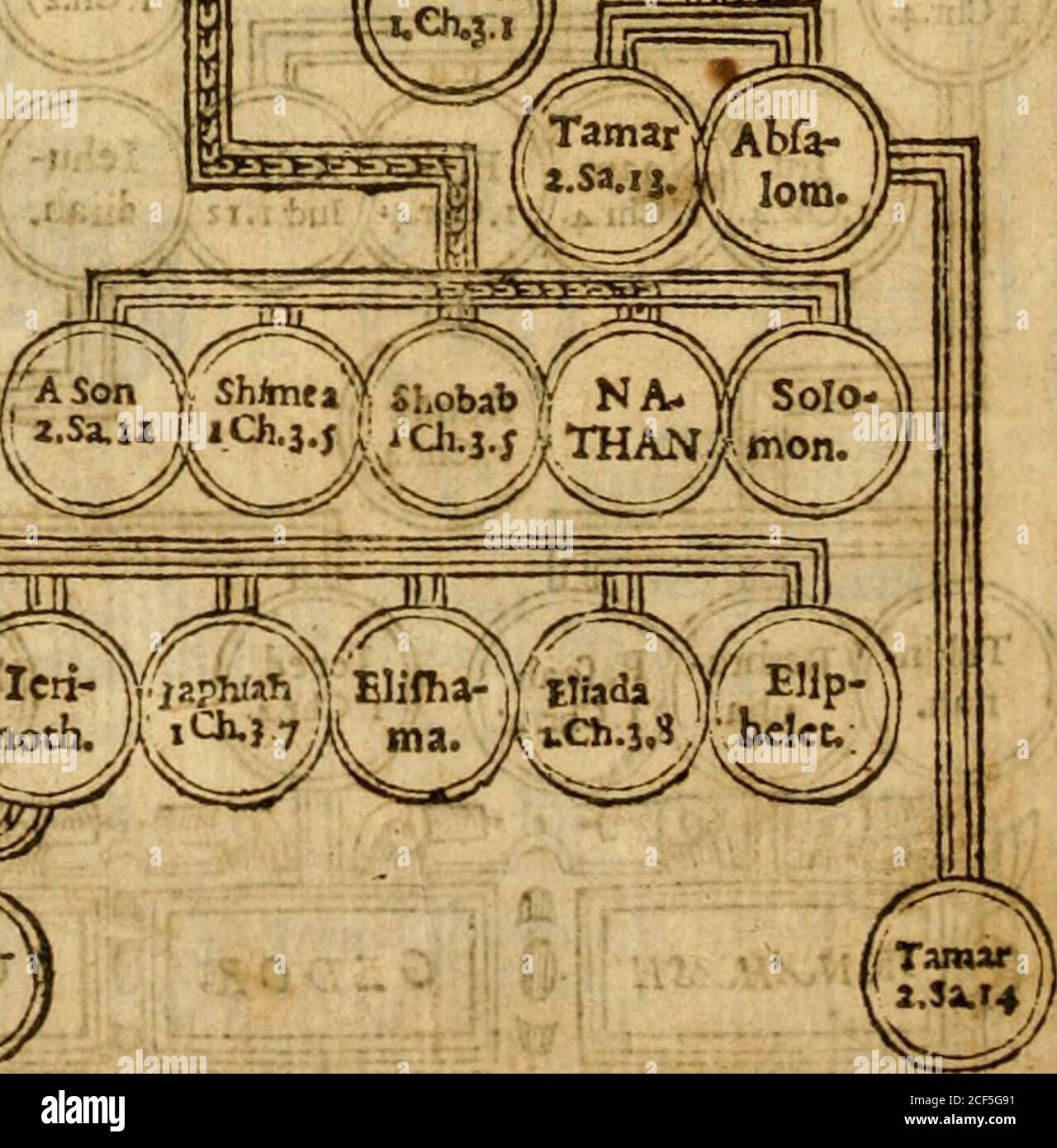 Araion hi-res stock photography and images - Alamy