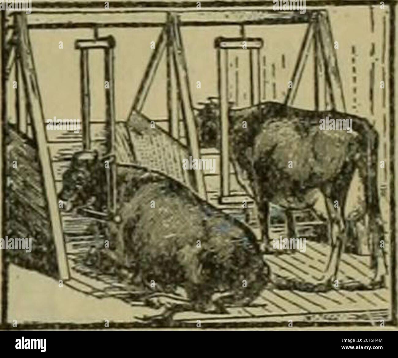 James topp hi-res stock photography and images - Alamy