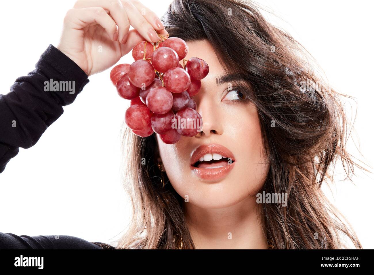 Gorgeous black haired lady in trendy clothing holding branch of red ...