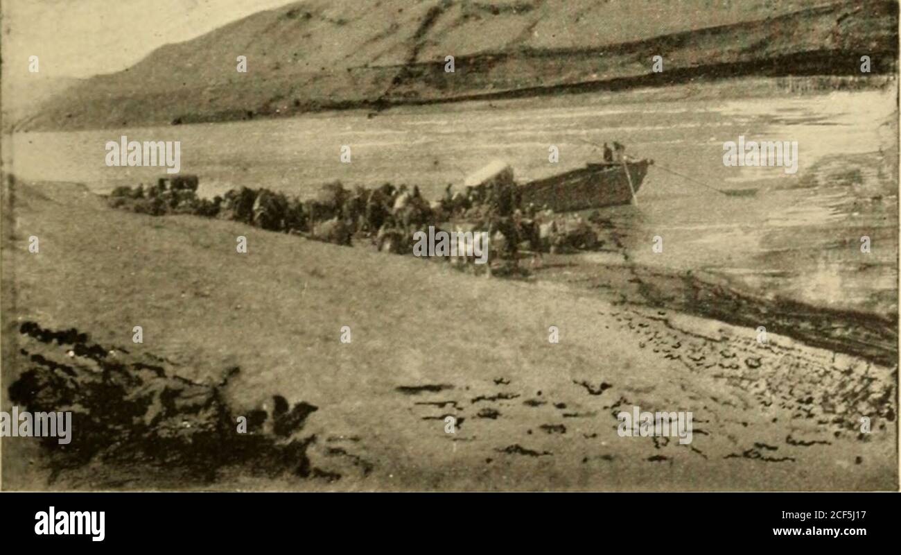 . The Red Cross in peace and war. REV. C. F. GATES, D. D., HARPOOT ...