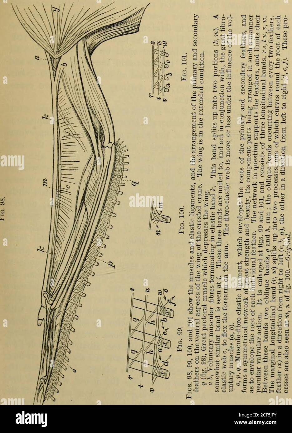 Tertiary structures hi-res stock photography and images - Alamy