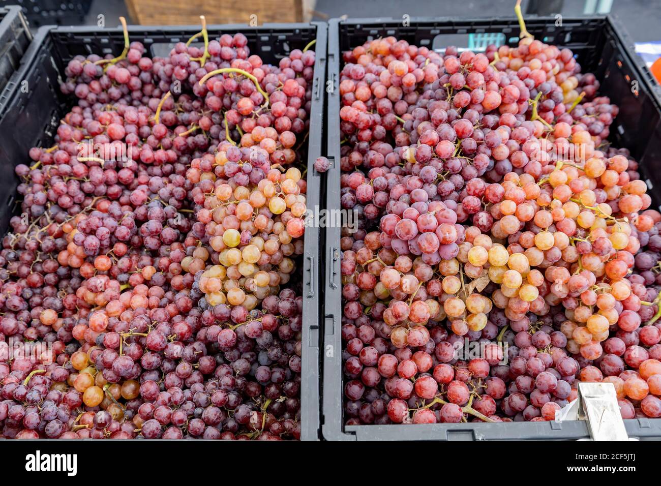 Farmer selling many different vegetables and fruits in a booth at Las ...