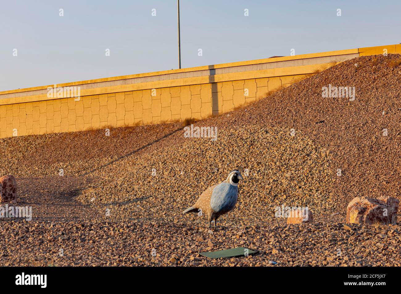 Quail decoration statue on the roadside at Las Vegas, Nevada Stock ...