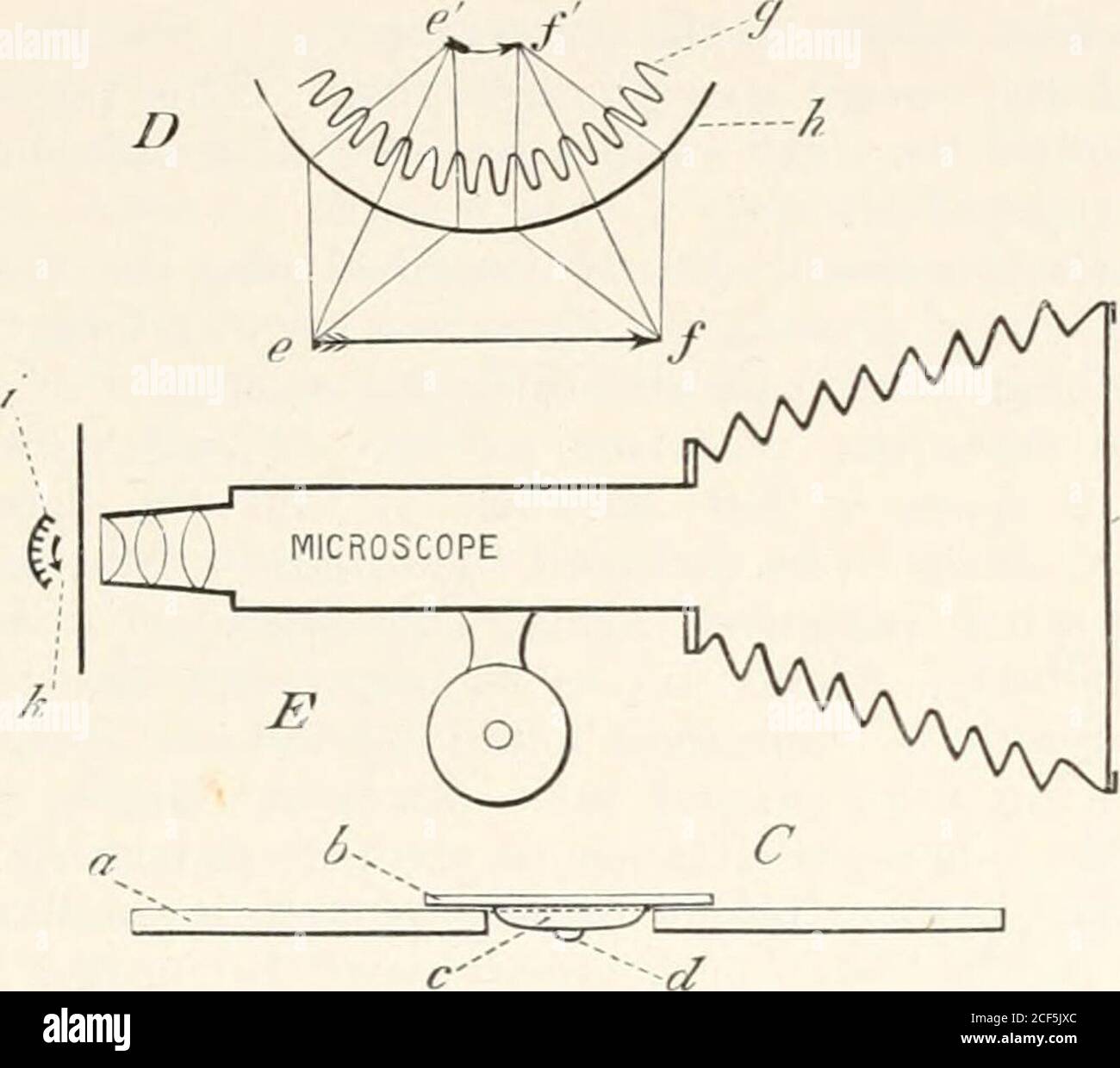 Retina of the eye micrograph hi-res stock photography and images - Alamy