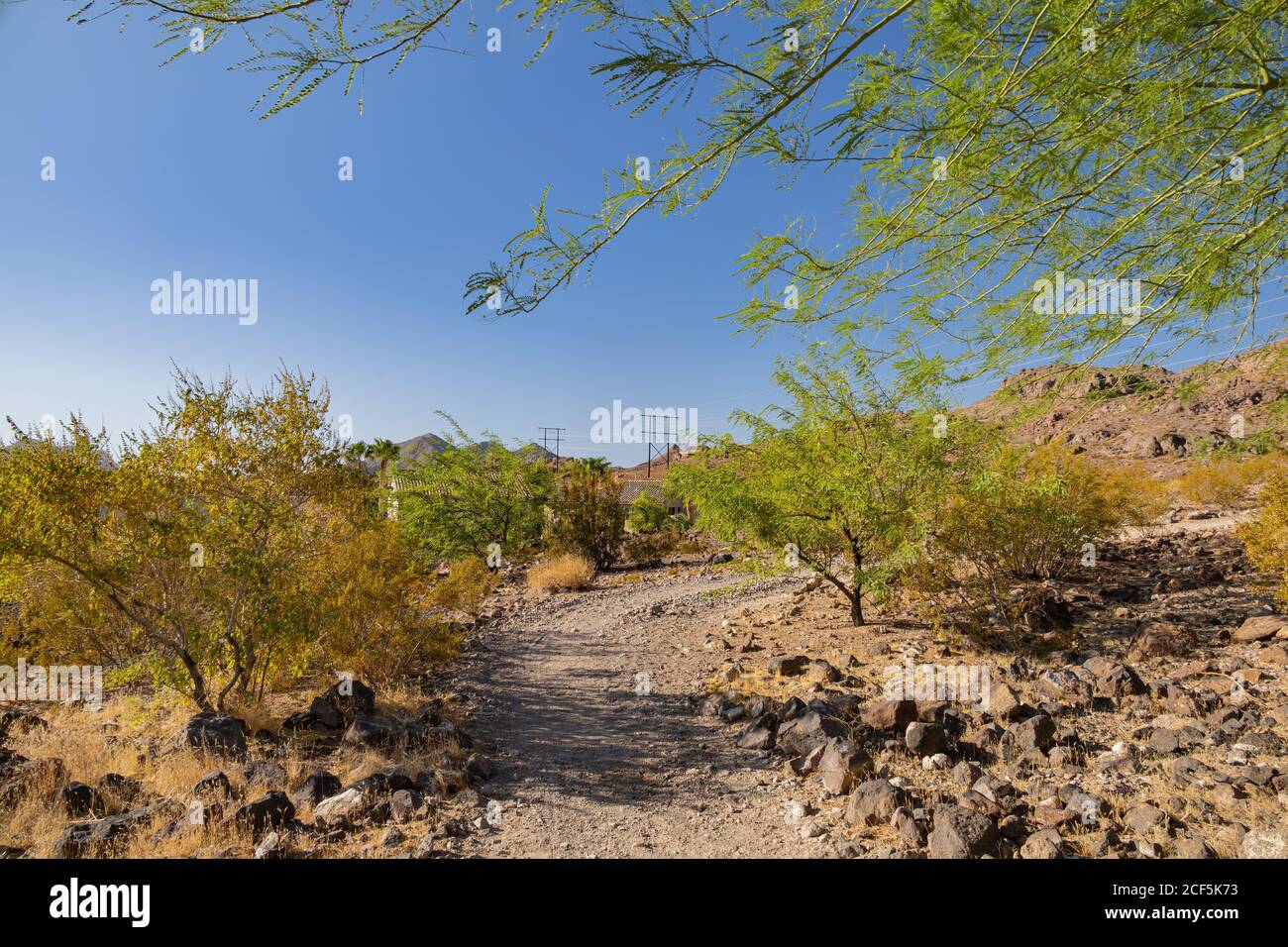 Hiking in the Amargosa Trail at Henderson, Nevada Stock Photo - Alamy