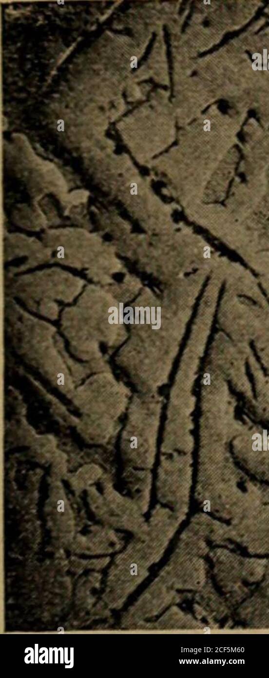 Graphite alloys hi-res stock photography and images - Alamy