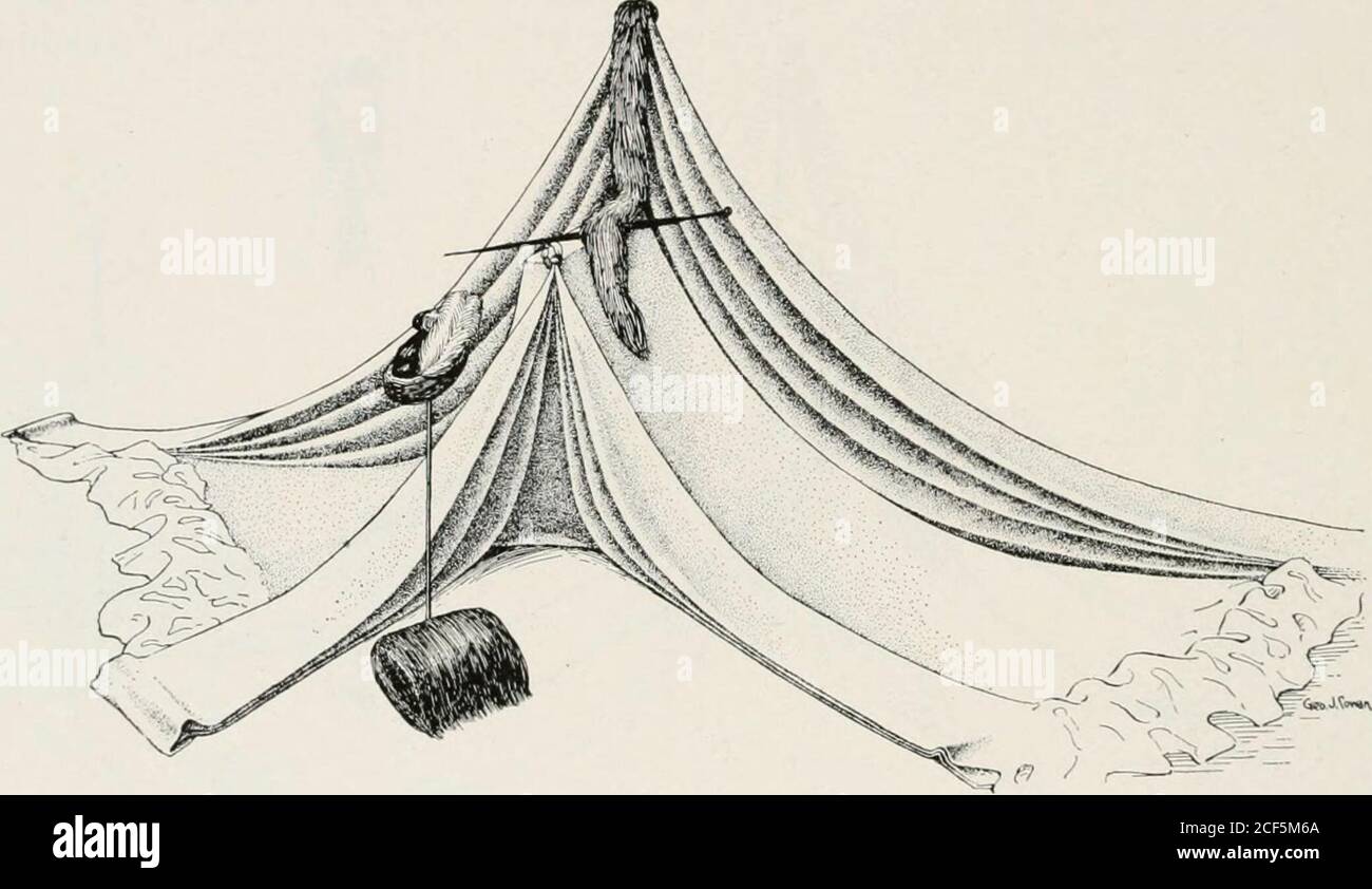 Rear end swing hi-res stock photography and images - Alamy