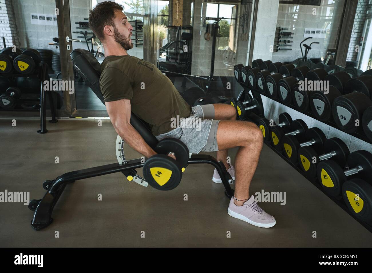 Man bench dumbbells workout hi-res stock photography and images - Alamy
