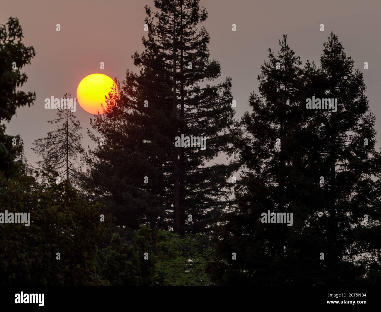 Wildfire wild wildfires fires hi-res stock photography and images - Alamy