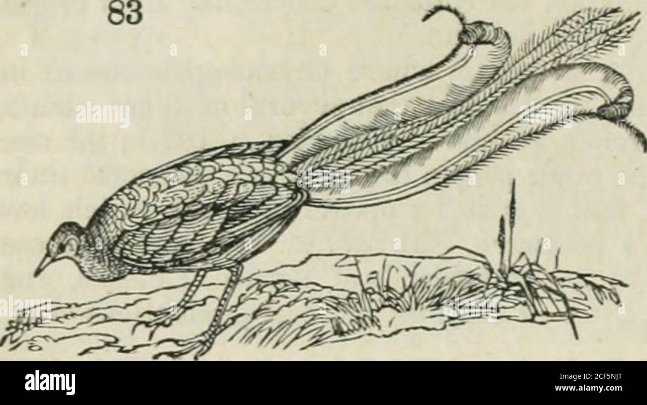 Insular range hi-res stock photography and images - Alamy