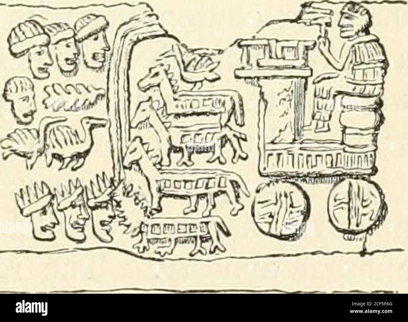 Spiralhorns hi-res stock photography and images - Alamy