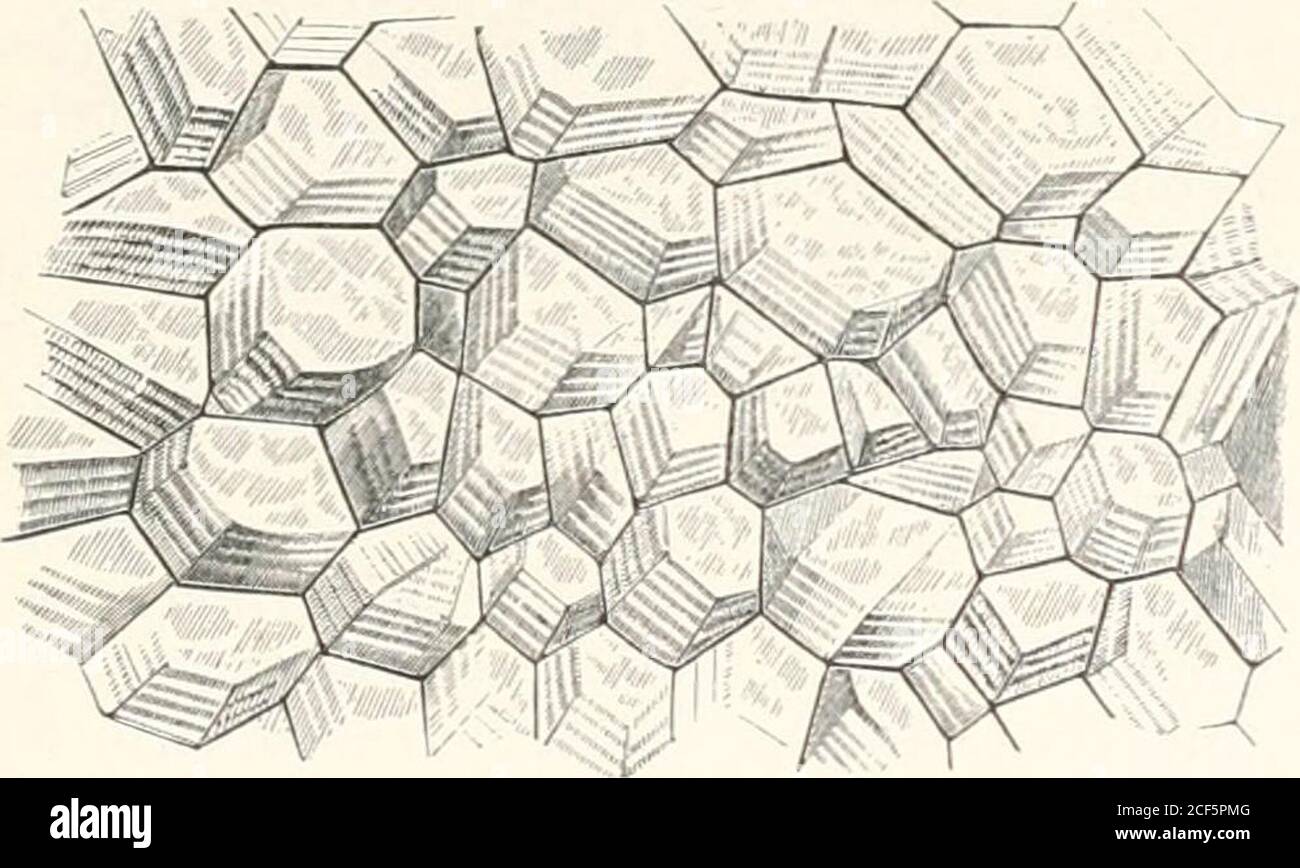 . The microscope and its revelations. FIG. 69(5.—Oblique section of ...