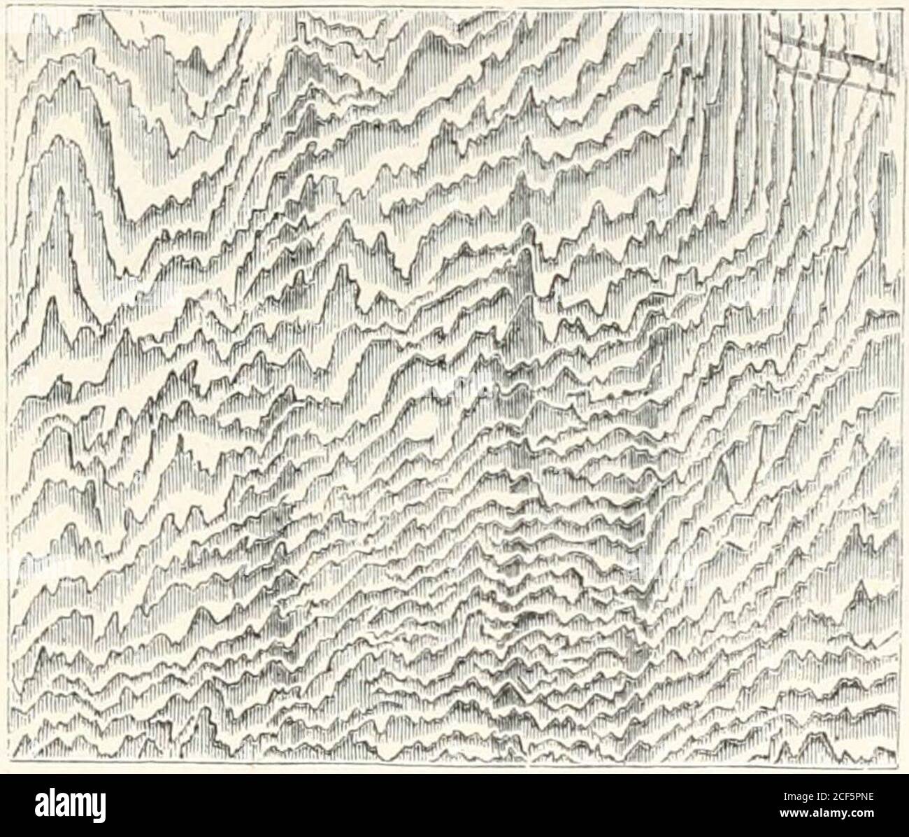 . The microscope and its revelations. o befound ; on the contrary, if ...