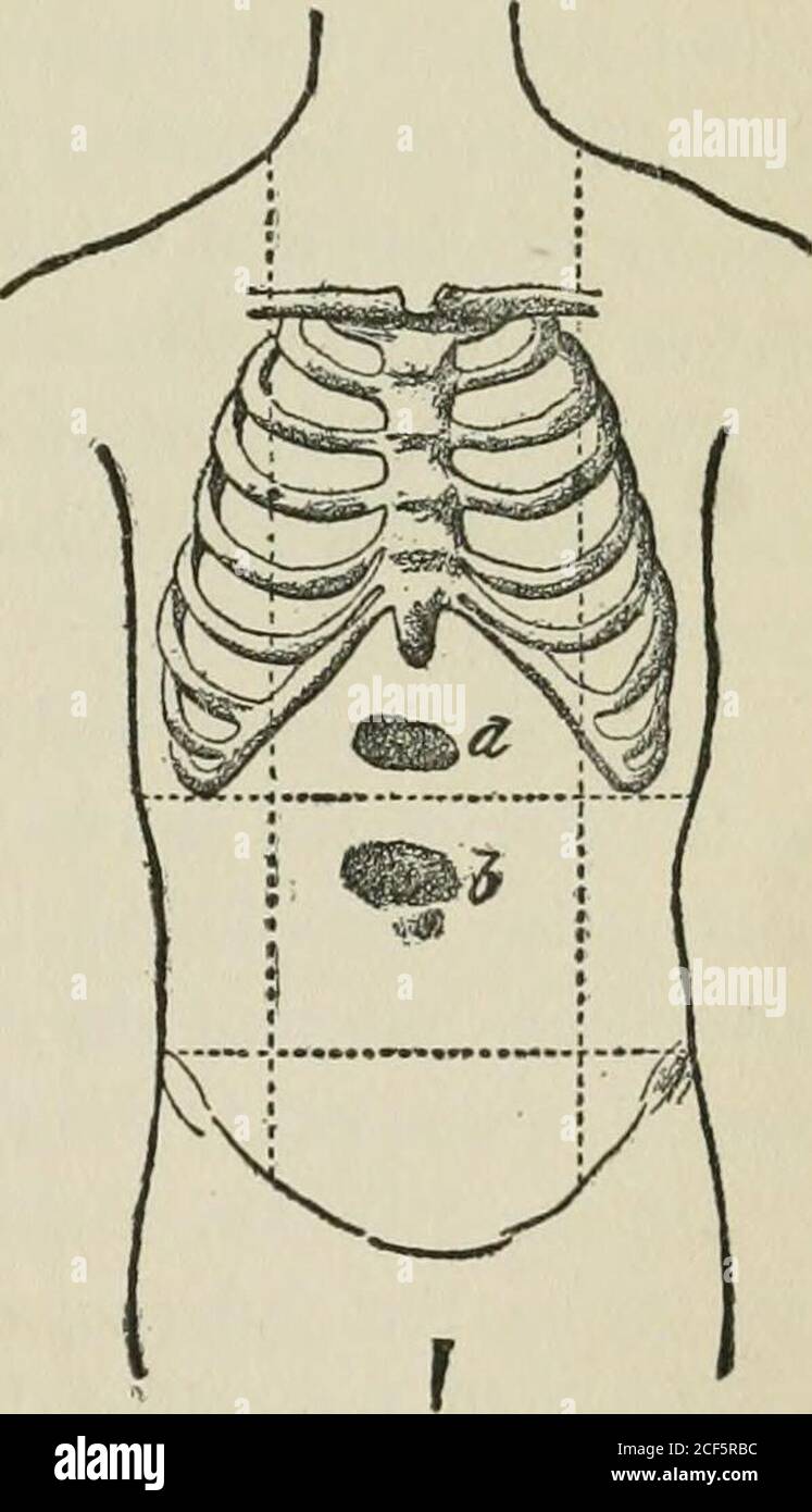 Navel like hi-res stock photography and images - Alamy