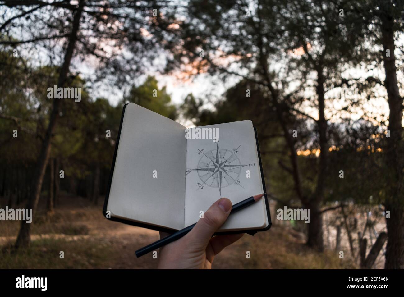 Crop traveler drawing compass on nature Stock Photo - Alamy