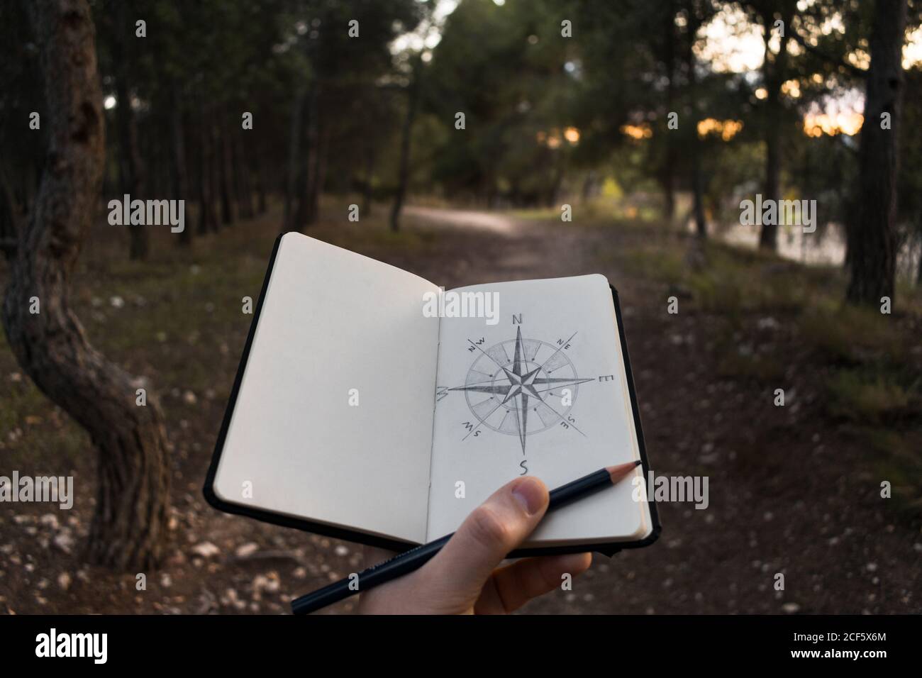Crop traveler drawing compass on nature Stock Photo - Alamy