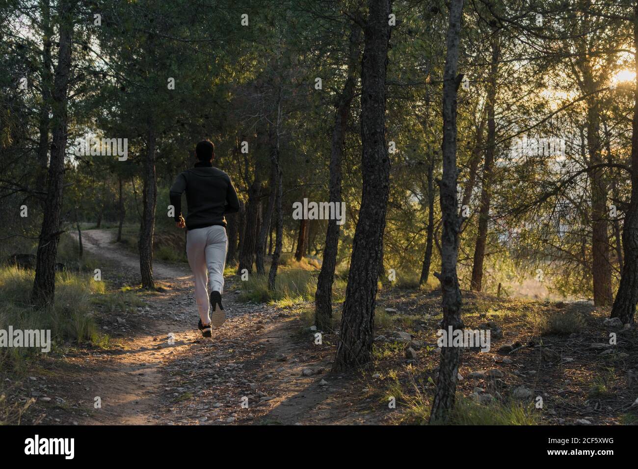 Back view of anonymous man in tracksuit working on muscles of legs ...