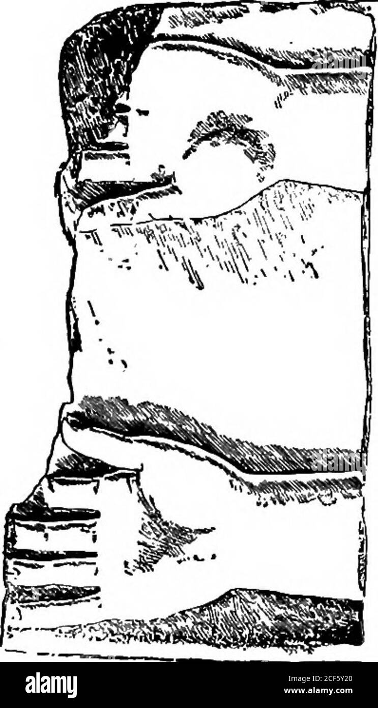 . Light from the ancient East; the New Testament illustrated by ...