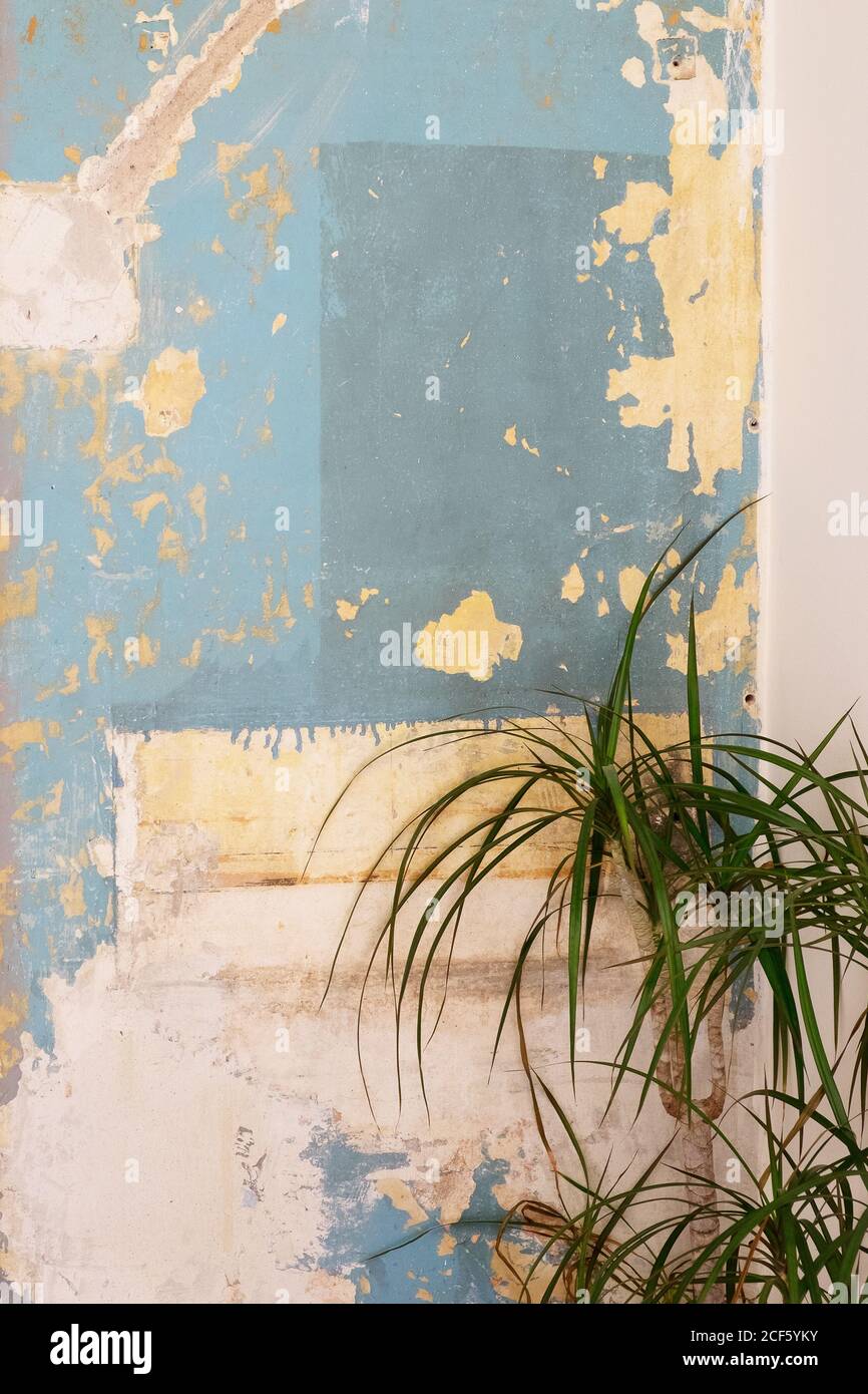 Crumbling Stucco High Resolution Stock Photography and Images - Alamy