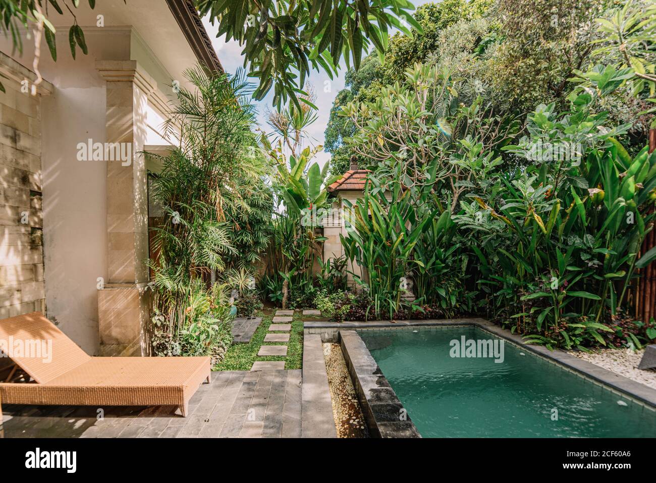 Cozy courtyard with pool surrounded by tropical plants and hammock in ...