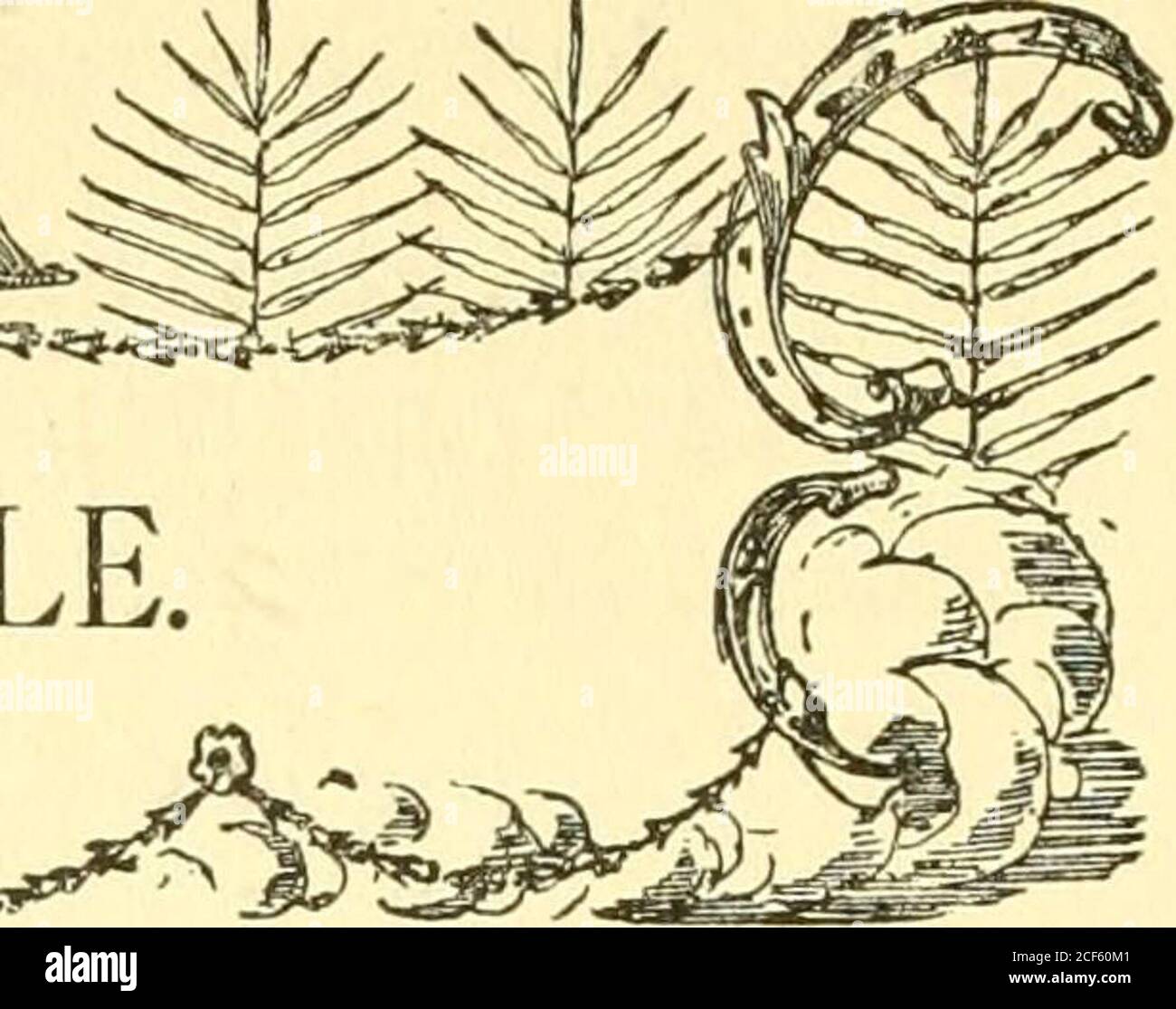 . The library of historic characters and famous events of all nations ...