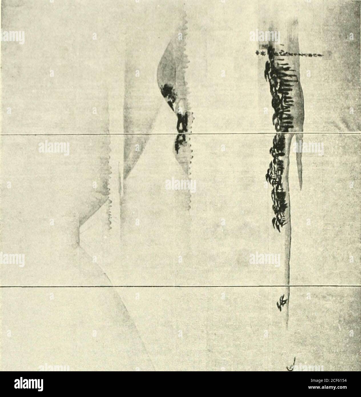 . The mythology of all races Stock Photo - Alamy