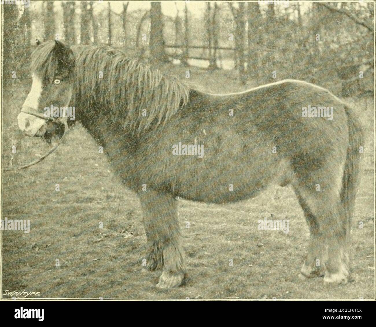 Telegony hi-res stock photography and images - Alamy