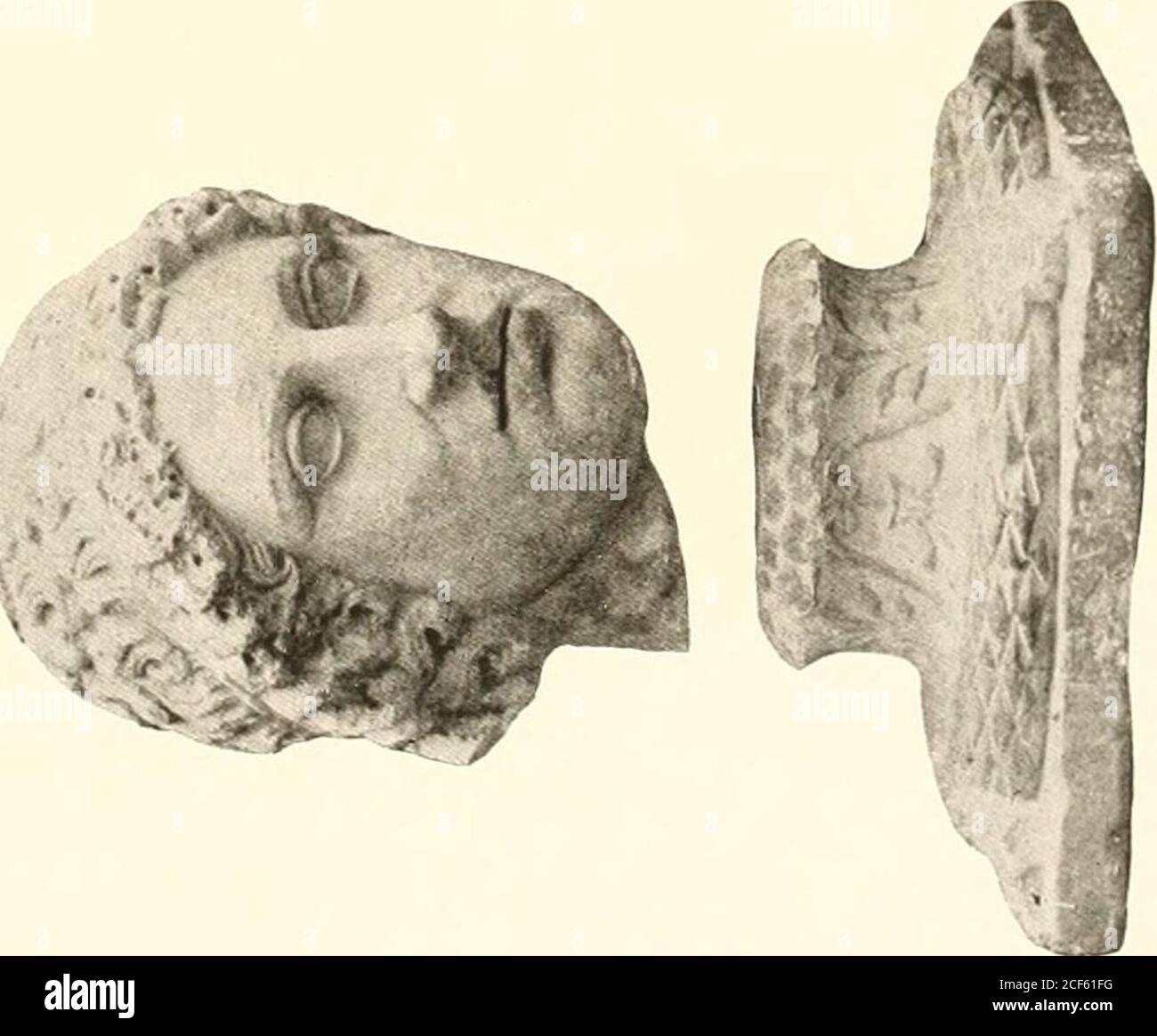 Leone leon hi-res stock photography and images - Alamy