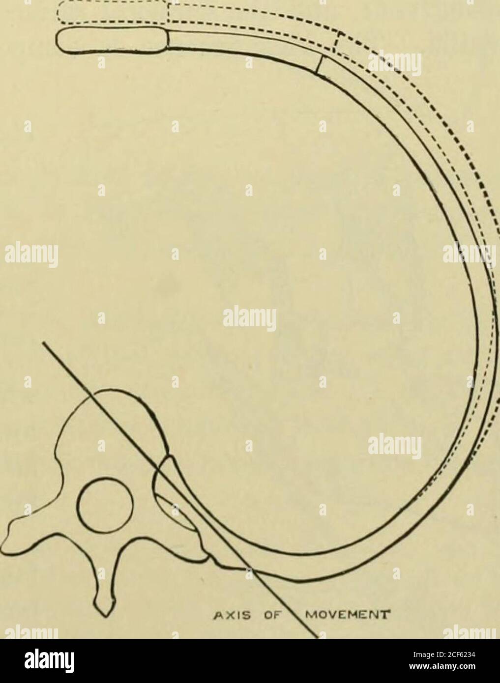 . Quain's Elements of anatomy. fore part of the rib is accompanied by ...