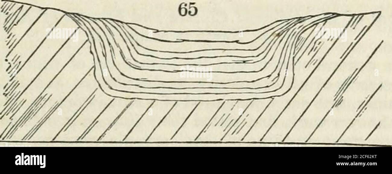 . The encyclopædia of geography: comprising a complete description of ...