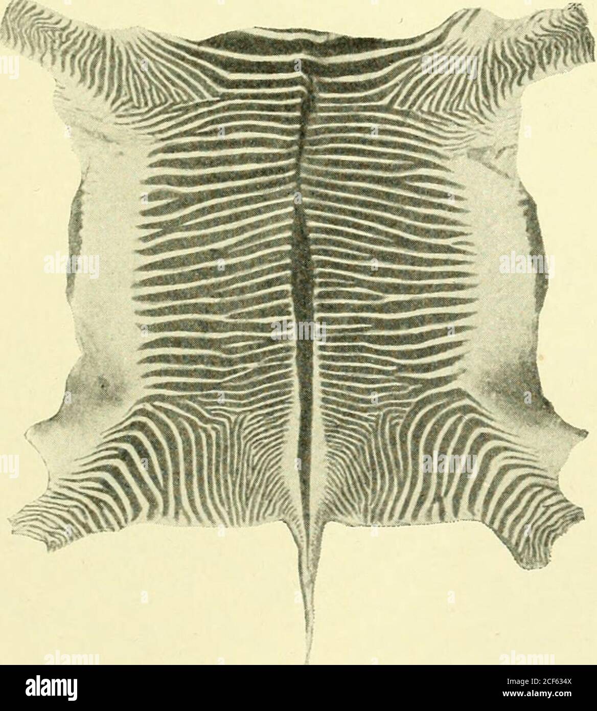 Tuft junction hi-res stock photography and images - Alamy