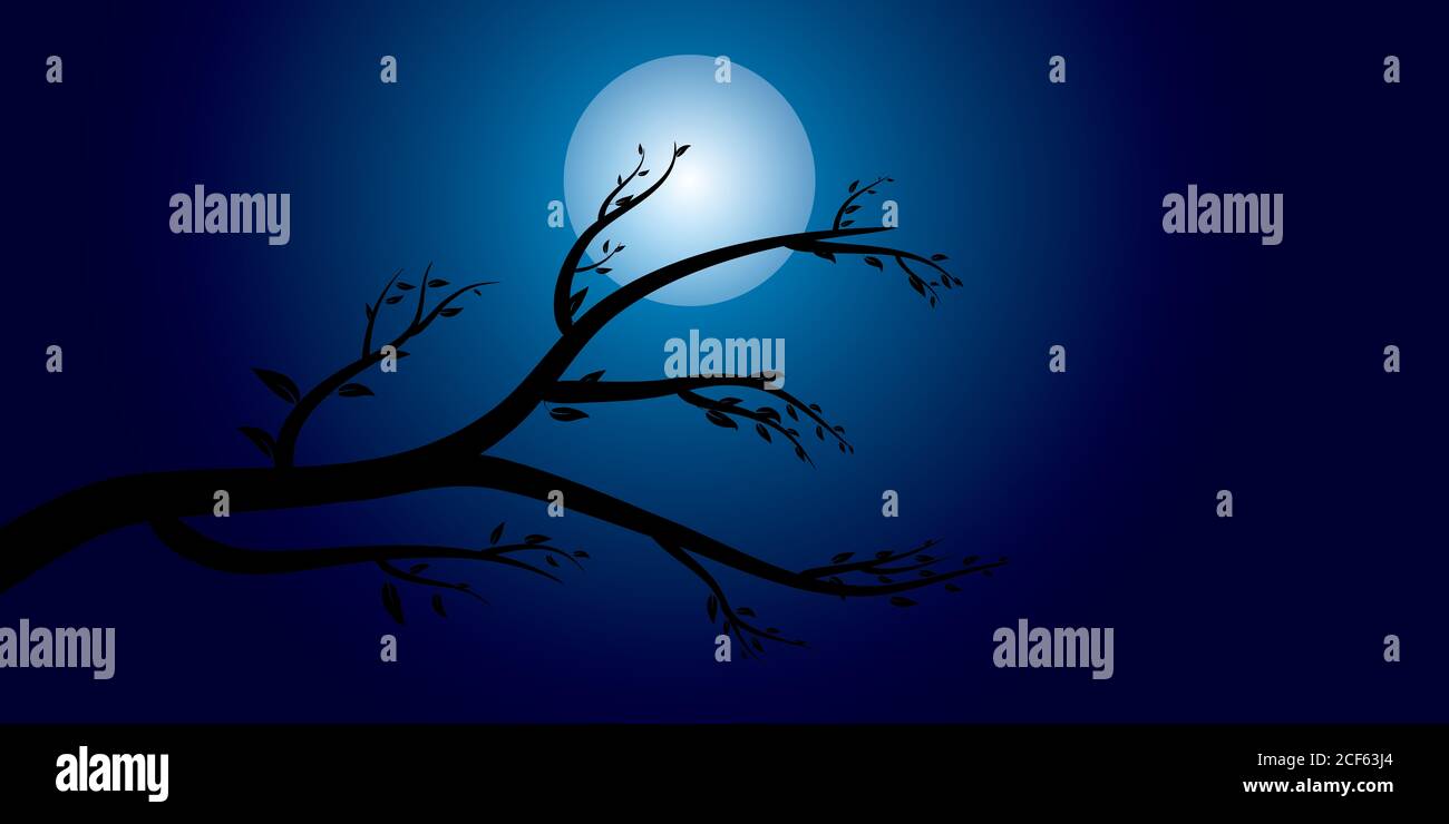 Moonlit tree hi-res stock photography and images - Alamy