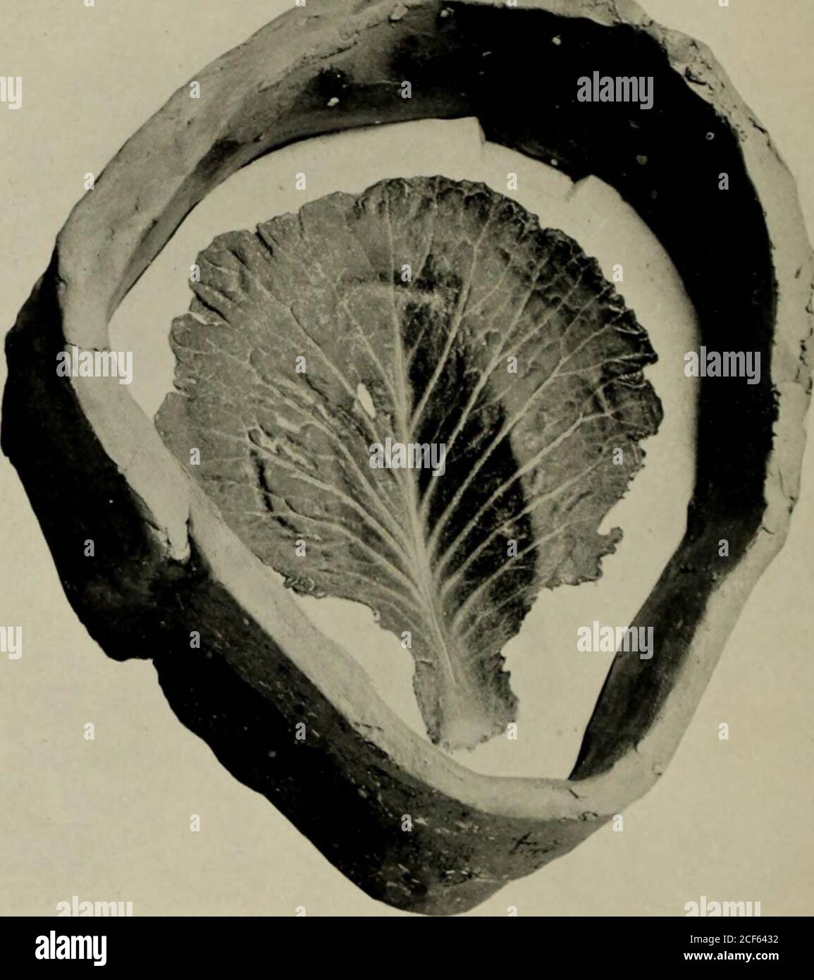 Slipping on soap hi-res stock photography and images - Alamy