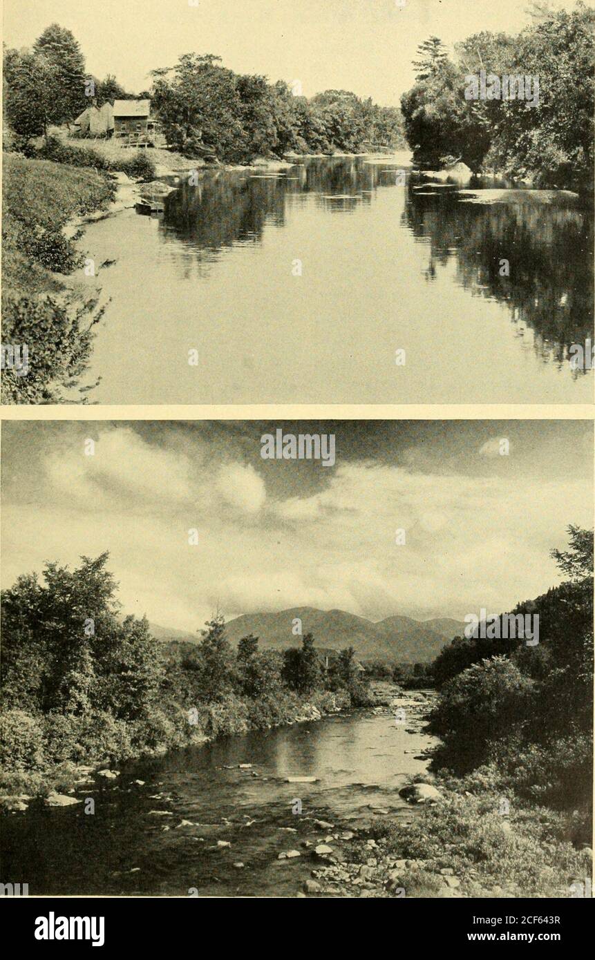 Ethel remick hi-res stock photography and images - Alamy