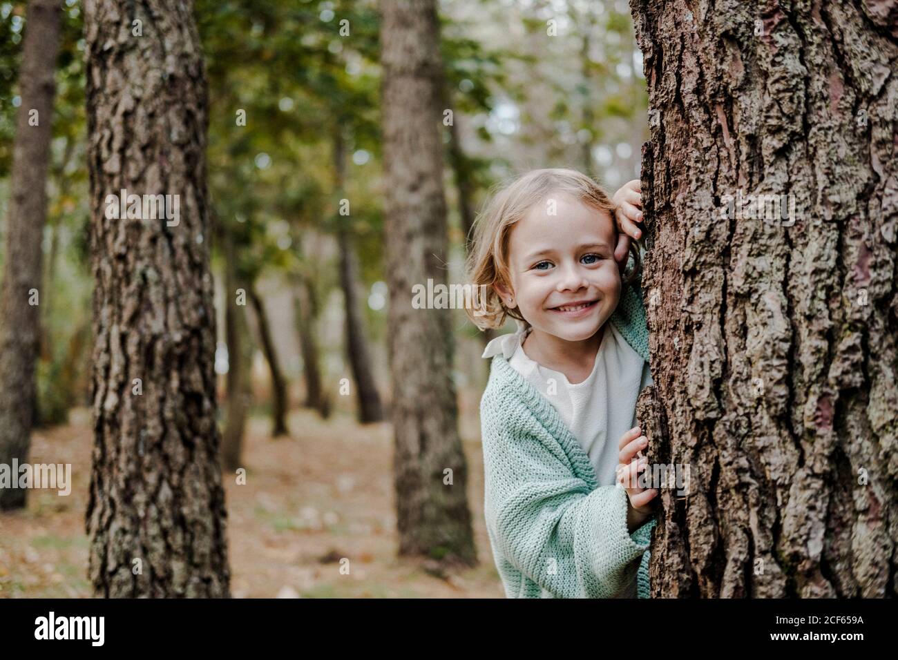 Positive child looking at camera behind wood in park on blurred ...