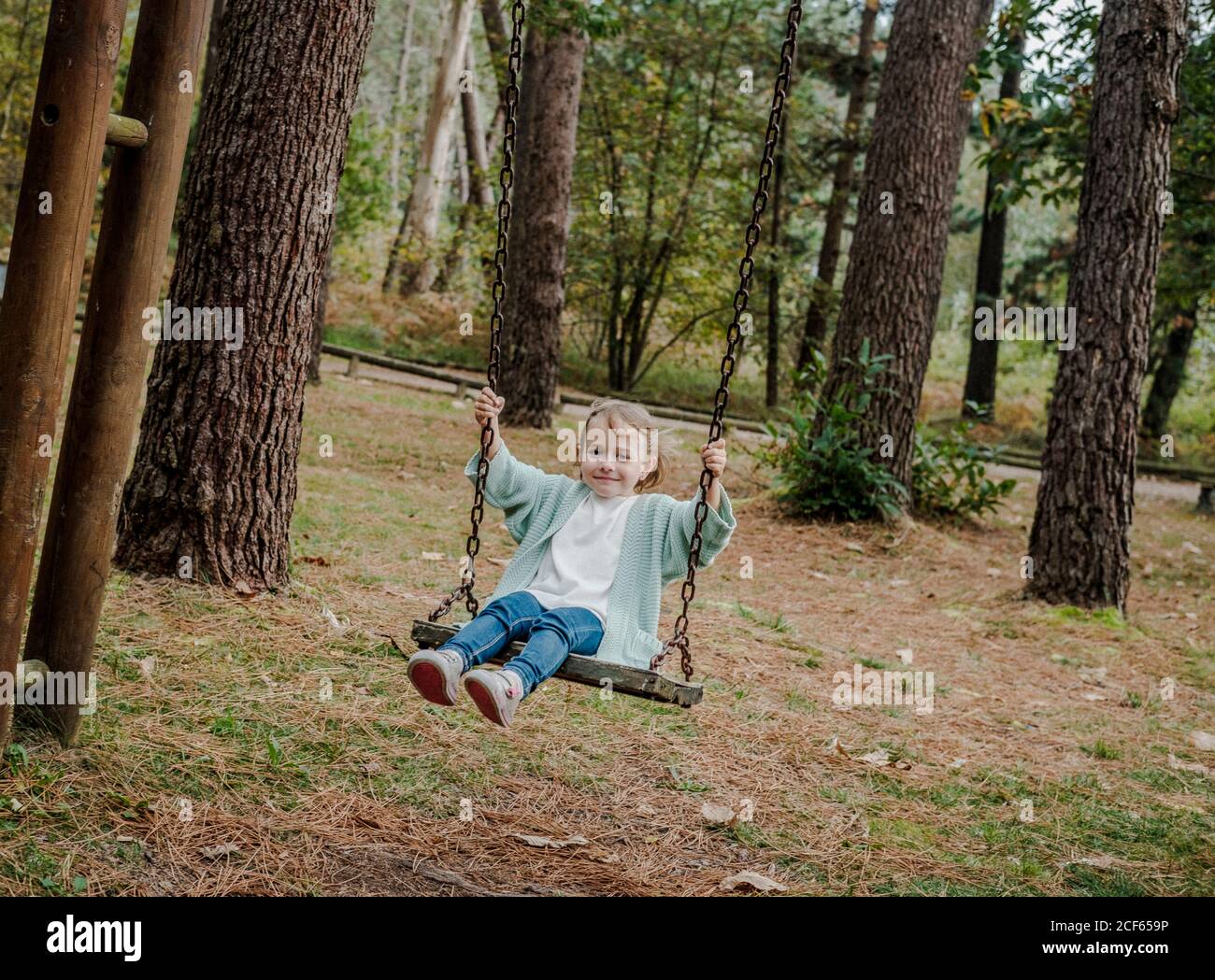 Positive child looking at camera and sitting on swings between trees in ...