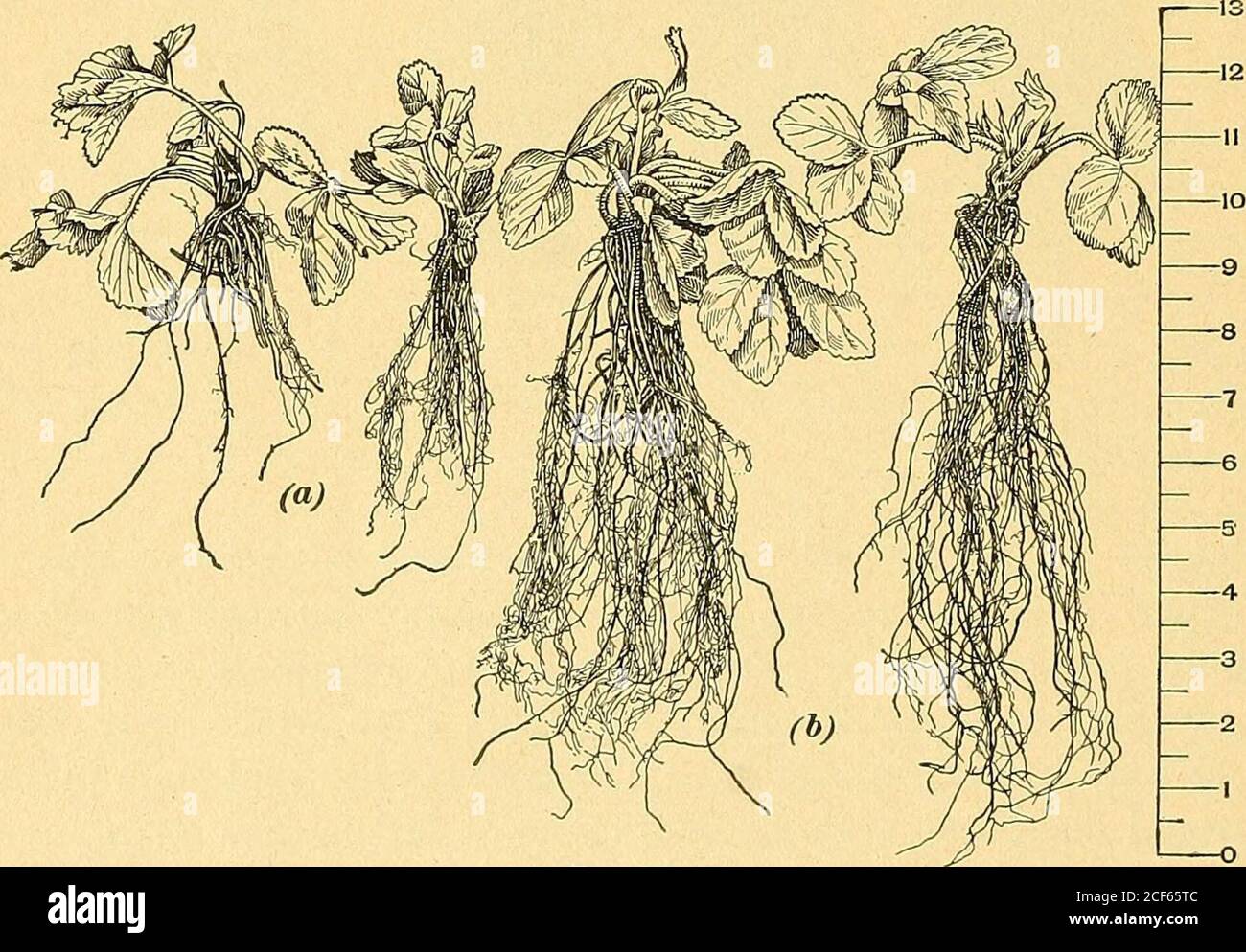 how to draw resistance in word