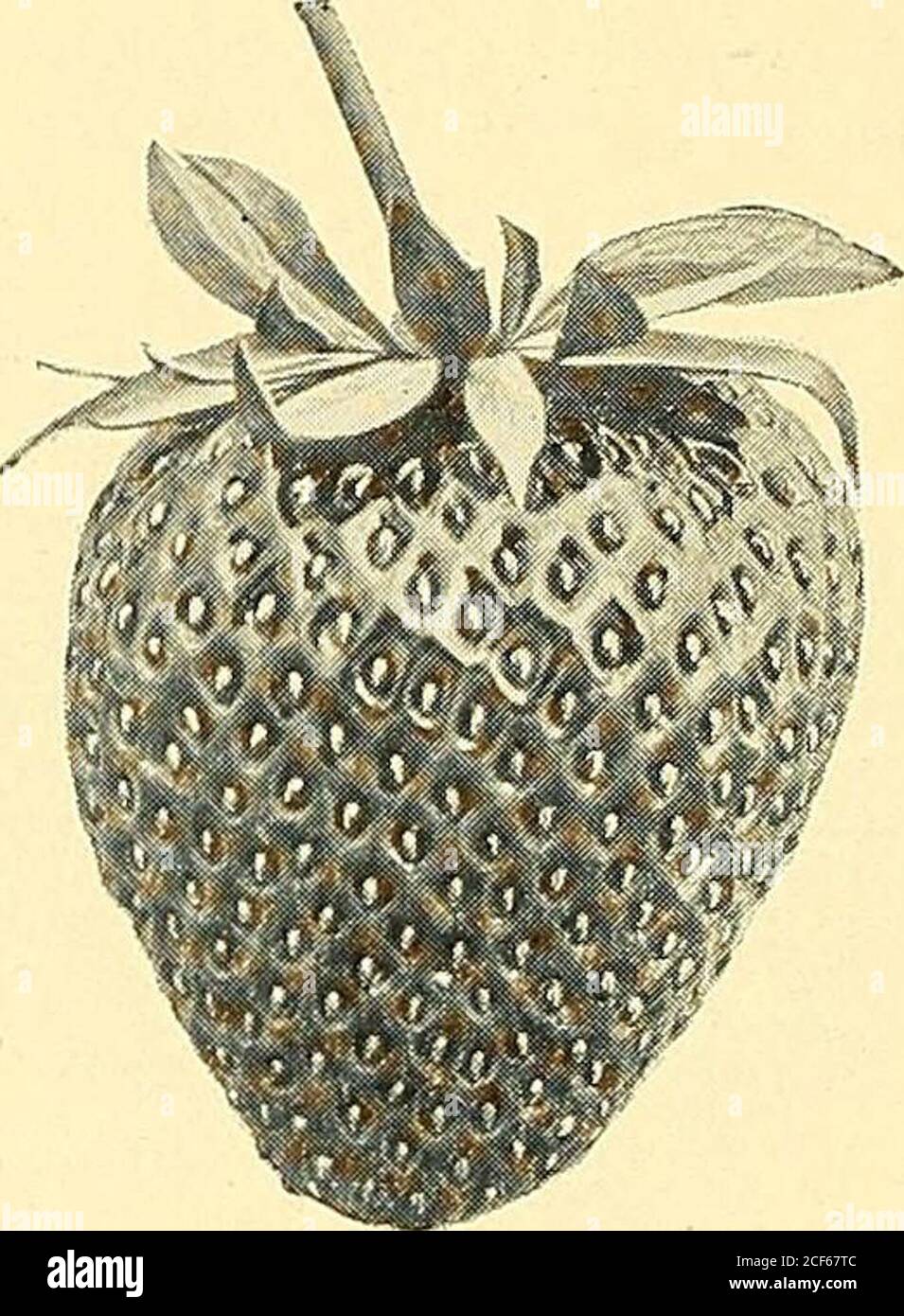 Conical wedge hi-res stock photography and images - Alamy