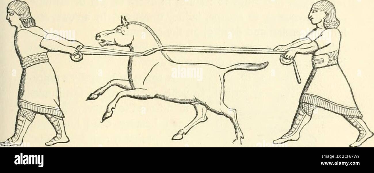 . Nineveh and Babylon : a narrative of a second expedition to Assyria ...