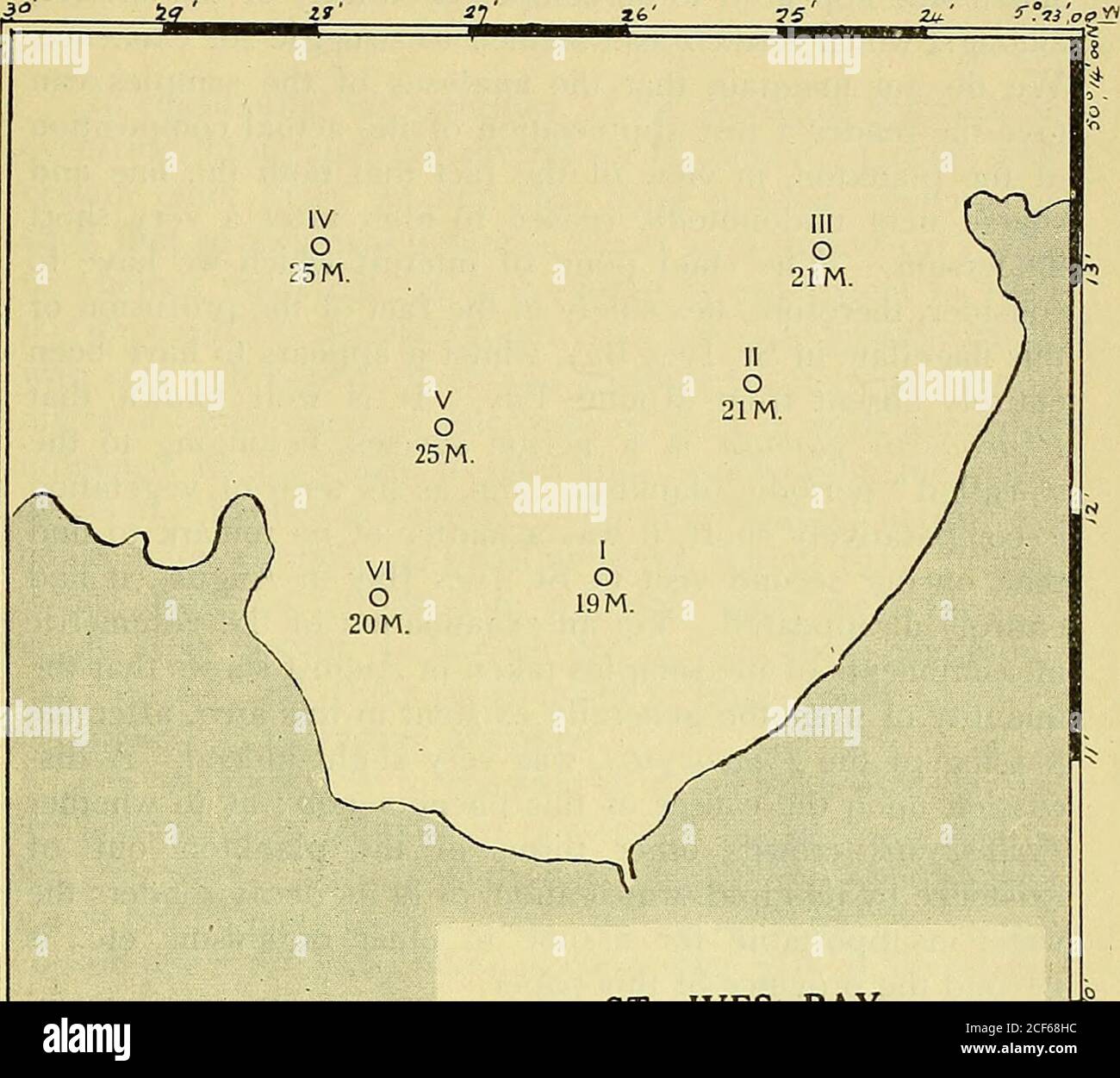 Tripos longipes hi-res stock photography and images - Alamy