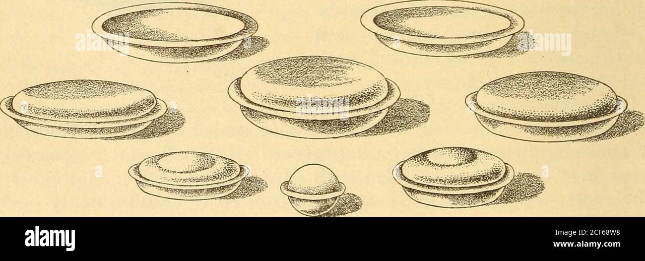 Powders in different sizes hi-res stock photography and images - Alamy